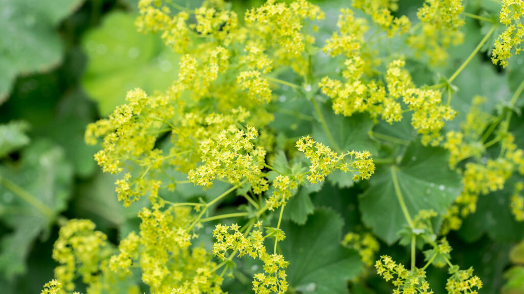 Hilfe bei Durchfall und Erbrechen - Gesundheitszentrum KLEIS